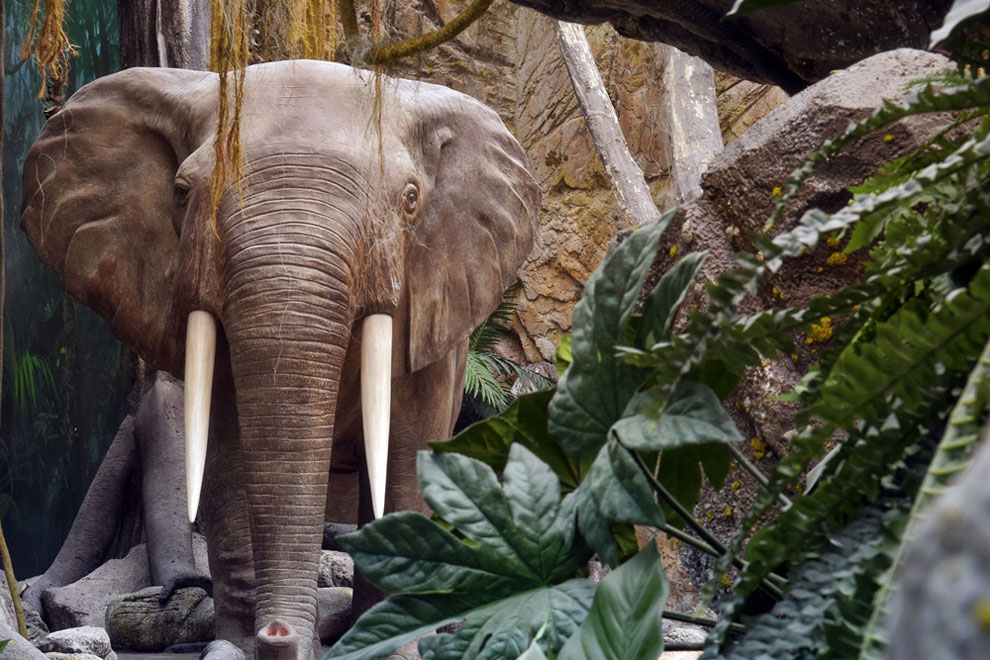 The World of Discoveries - Porto | Museums and Galleries | Portugal ...